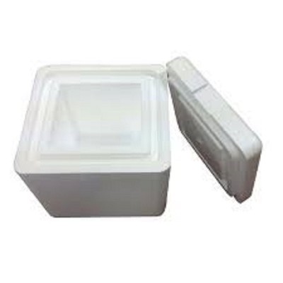Shipping Boxes - Styrofoam Shipping Box