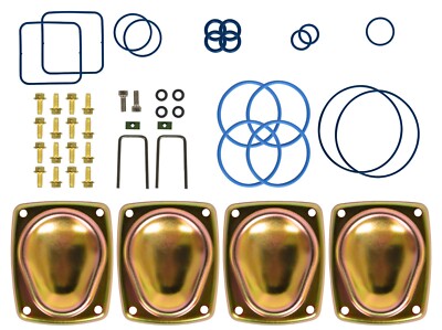 Oil & Gas Dresser Wayne WU001636-0001 FLUOROSILICONE SEAL AND COVER KIT ...