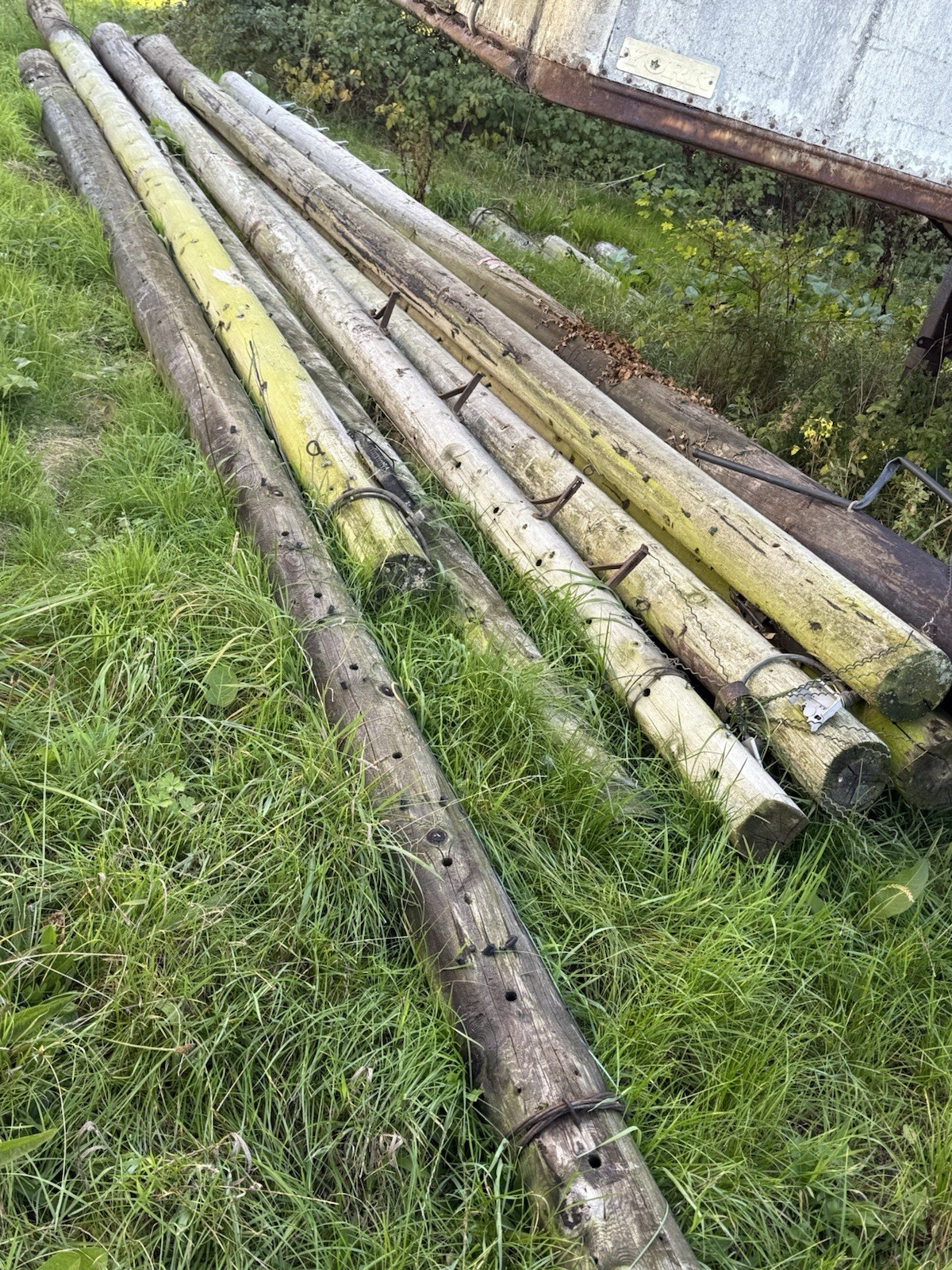 Telegraph Poles, Pole Barn, Straining Gate Posts, Treehouse, delivery ...