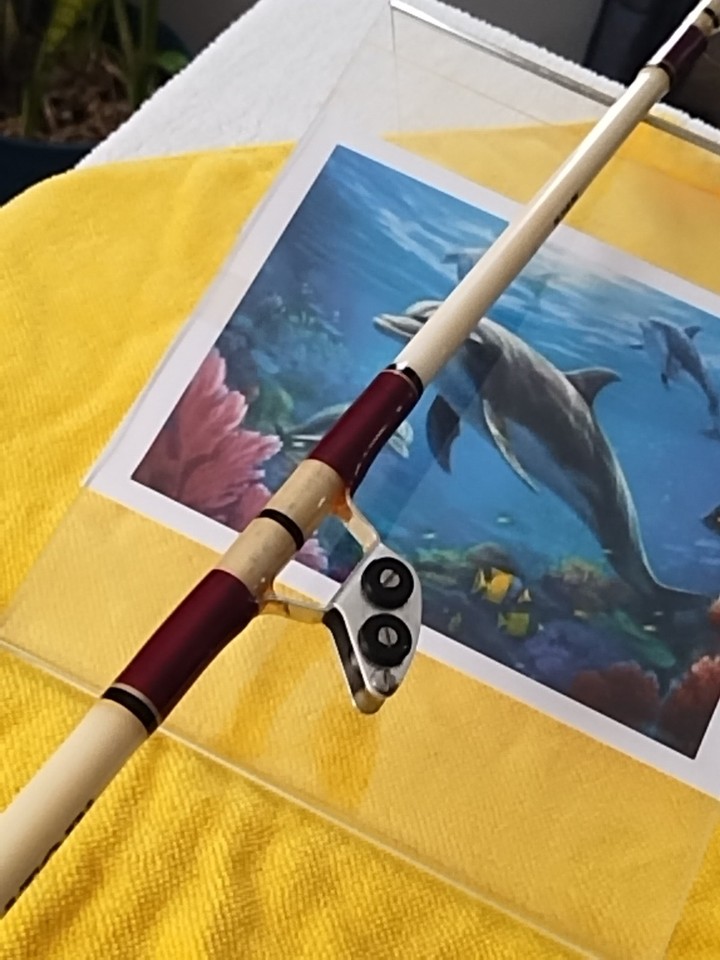 Penn Special Senator Fishing Rod 6'6" Heavy 30-50lb And Reel 113 HL | eBay