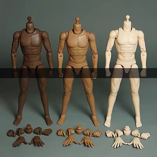1/6 Scale Male Action Body Model for 12" Figure | eBay
