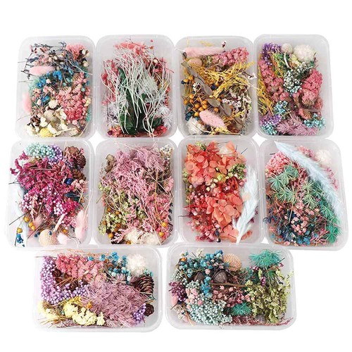 Dried Flowers Natural Floral Art Craft Scrapbooking Resin Jewelry ...