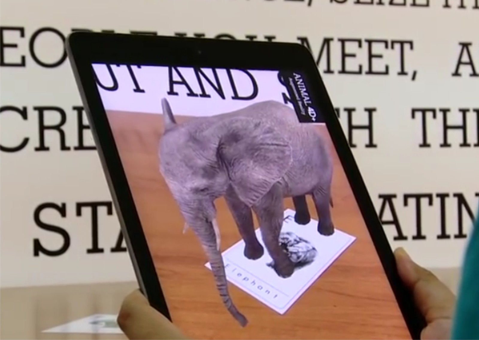 Animal 4D+ alphabet cards for kids boys & girls education with 5 food ...