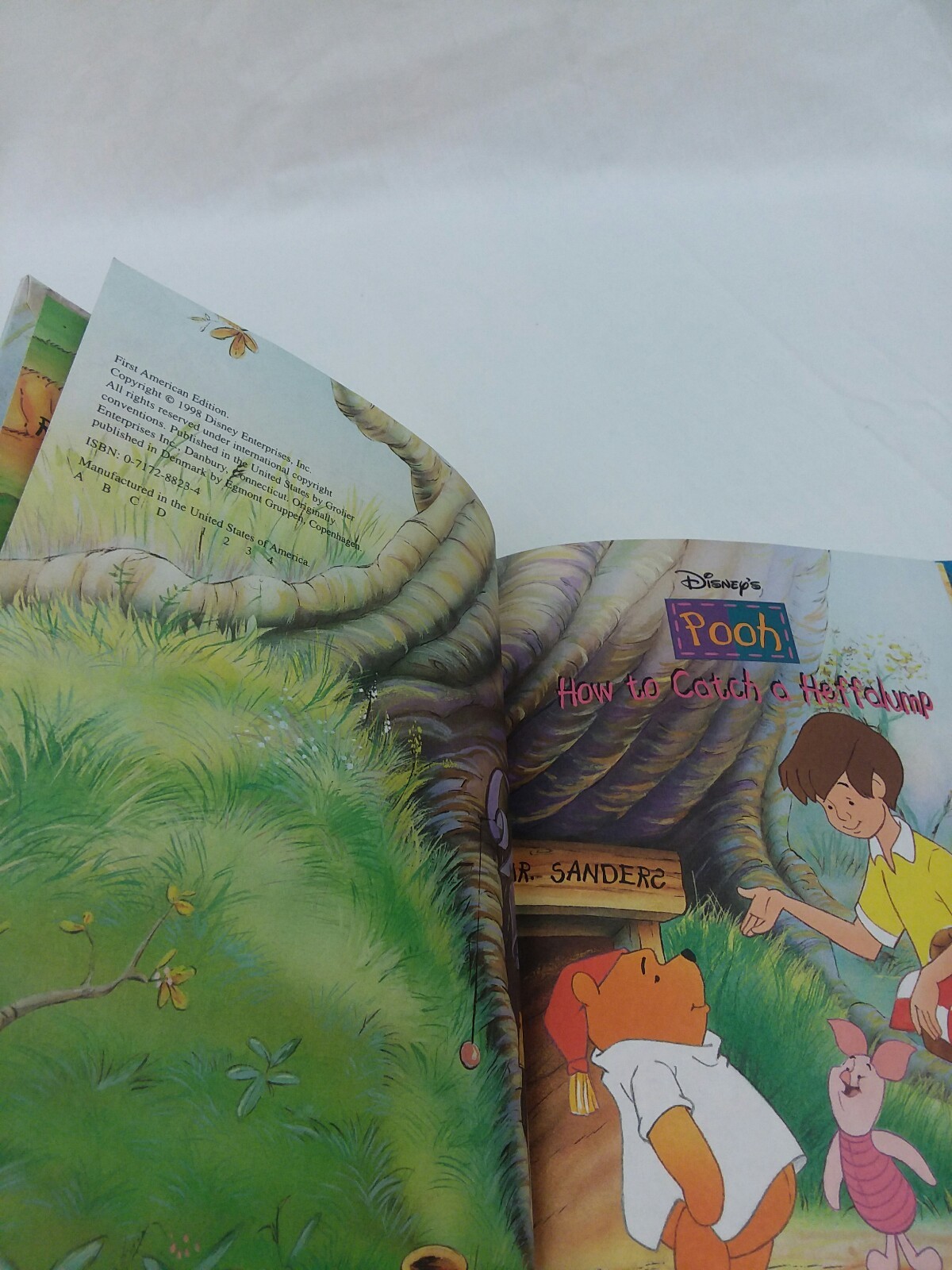 Disney Books Lot of 4 Piglet, Pooh, Bugs Life The Hunchback of Notre ...