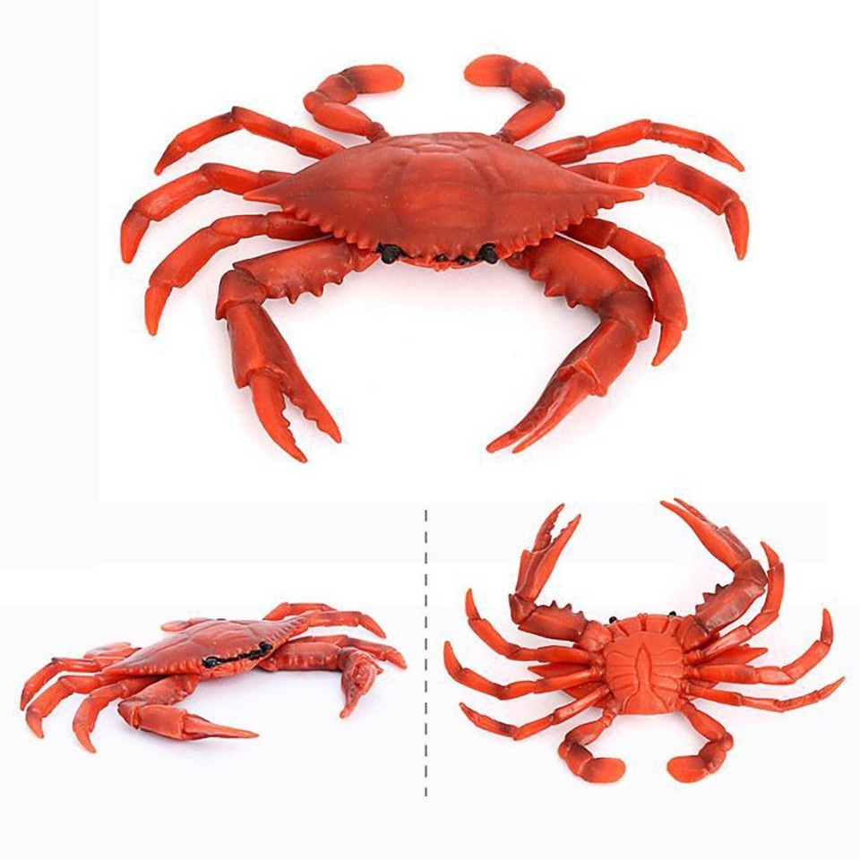 Toy Kids Cognition Sea Animal Figurine Red Crab Model Simulation Crabs ...