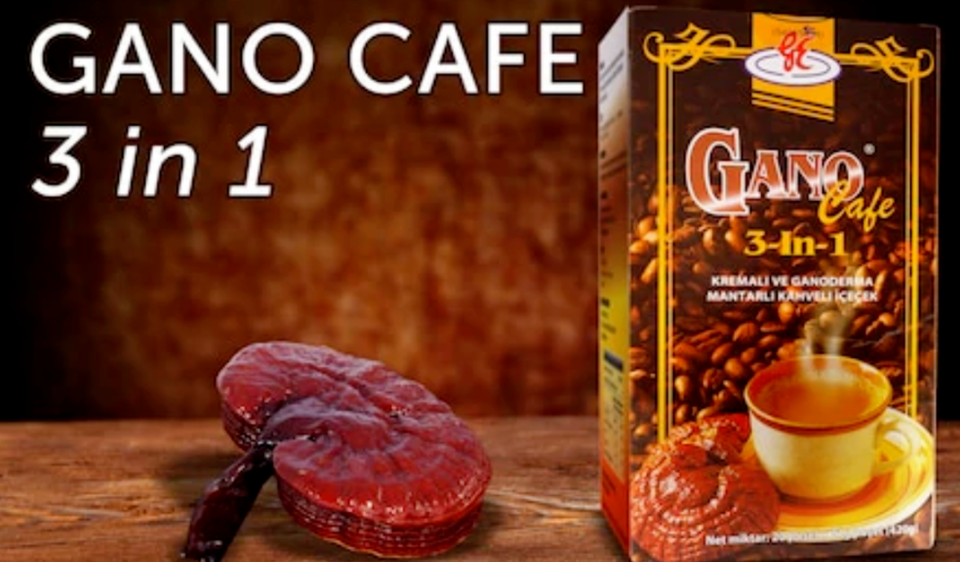 Gano Excel Cafe 3 in 1 Coffee Ganoderma Reishi 10 BOXES FAST SHIPPING ...