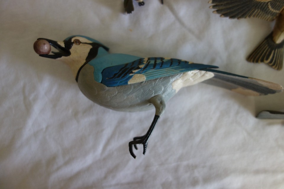 8 VINTAGE BACHMAN BIRDS OF THE WORLD BUILT LIFE SIZED MODEL KITS HAND ...
