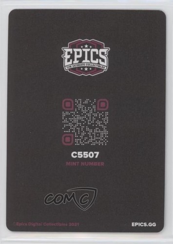 2020 Epics ESL Counter-Strike: Global Offensive Team Logos FURIA ...