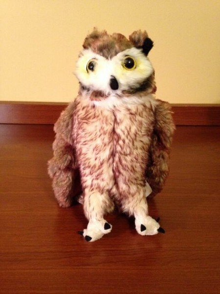 Harry Potter Great Horned Owl Plush Stuffed Animal Toy Warner Brothers ...