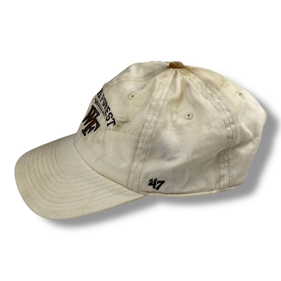 Wake Forest Demon Deacons Hat Beige Adult Adjustable One Size Dad Cap ...