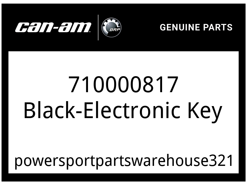 Can-Am OEM Part 710000817 Black, Electronic Key | eBay