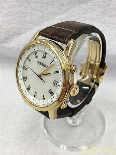 BRIGHTZ SAGZ102 SEIKO | eBay