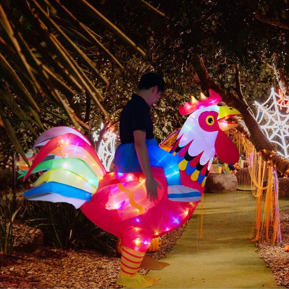 Adult Inflatable Chicken Costumes, LED Light Up Ride-on Rooster, Fancy ...