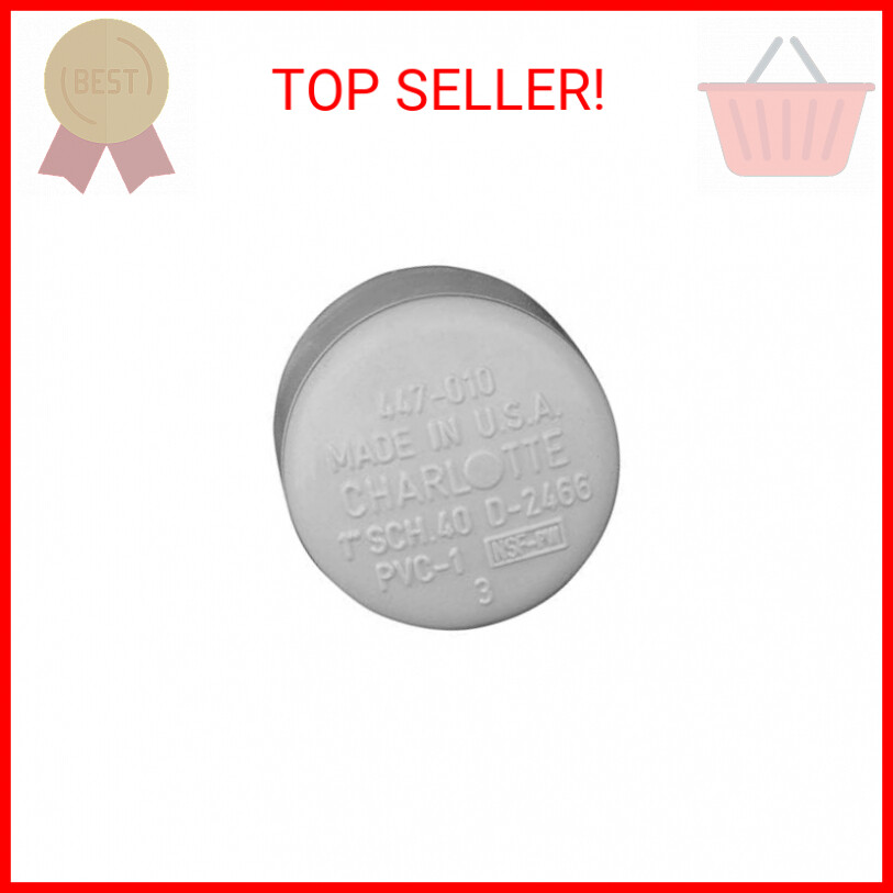 CHARLOTTE PIPE 1 SCH 40 Cap Socket Contractor Pack Pressure (10 Unit ...