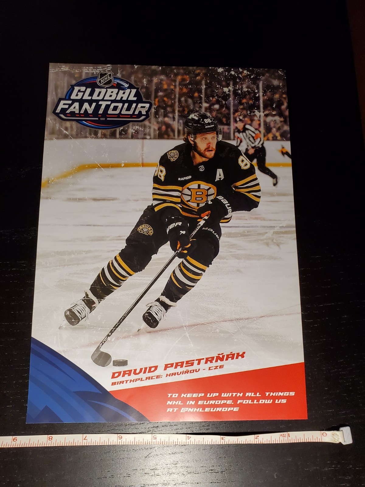 Boston Bruins David Pastrnak Global Fan Tour poster | eBay