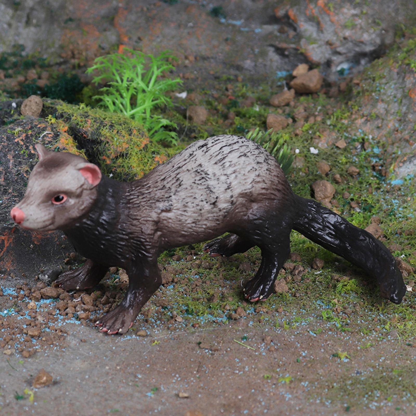 Simulation Ferret Figurines Toy Science Educational Toy for Desktop ...