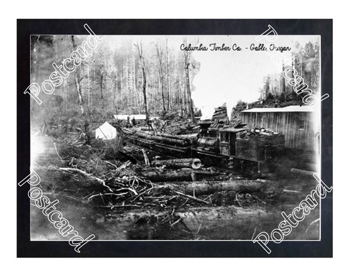 Historic Columbia Timber Co. - Goble, Oregon Train Postcard 1 | eBay