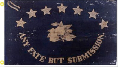 3RD FLORIDA INFANTRY 3'X5' 100D COMPANY B ST AUGUSTINE BLUES FLAG ...