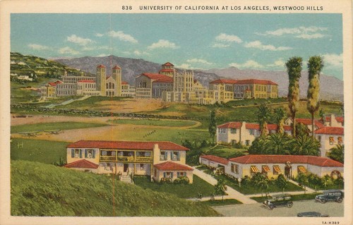 Postcard California University of California Westwood Unposted | eBay