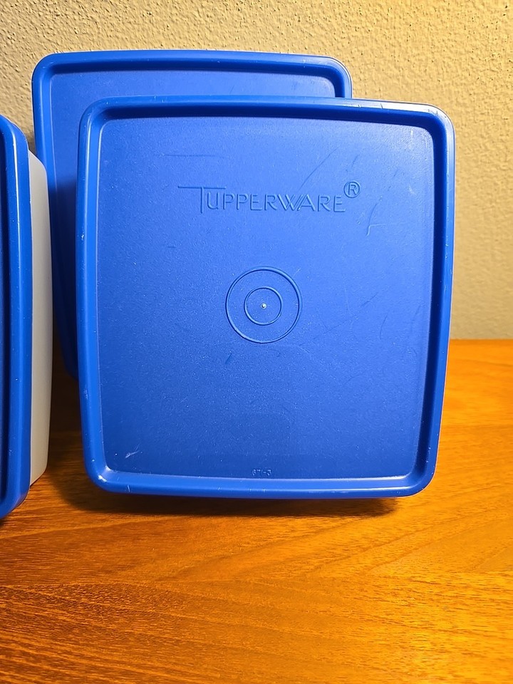 Vintage Blue Tupperware Set Of 4 Lunch Plates, Sandwich Keeper, Fruit ...