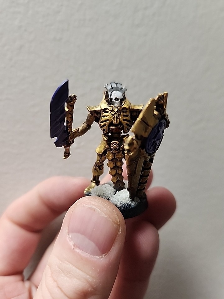 Warhammer 40k Necron Mixed Army Lot Painted. Old School Rare Comes With ...