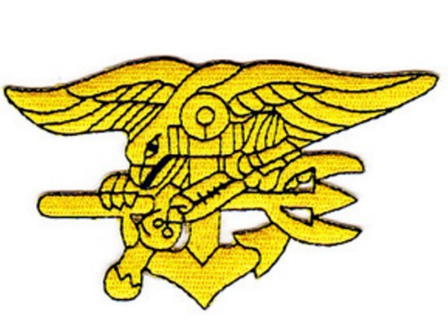 SEAL TEAM TRIDENT HAT PATCH US NAVY PIN UP UDT NCIS CIA EAGLE 1 2 3 4 5 ...