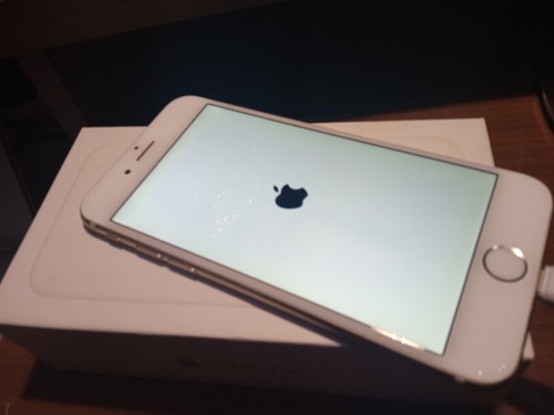 Apple iPhone 6 - 16GB - Gold Unlocked A1586 (CDMA + GSM) 888462062695 ...