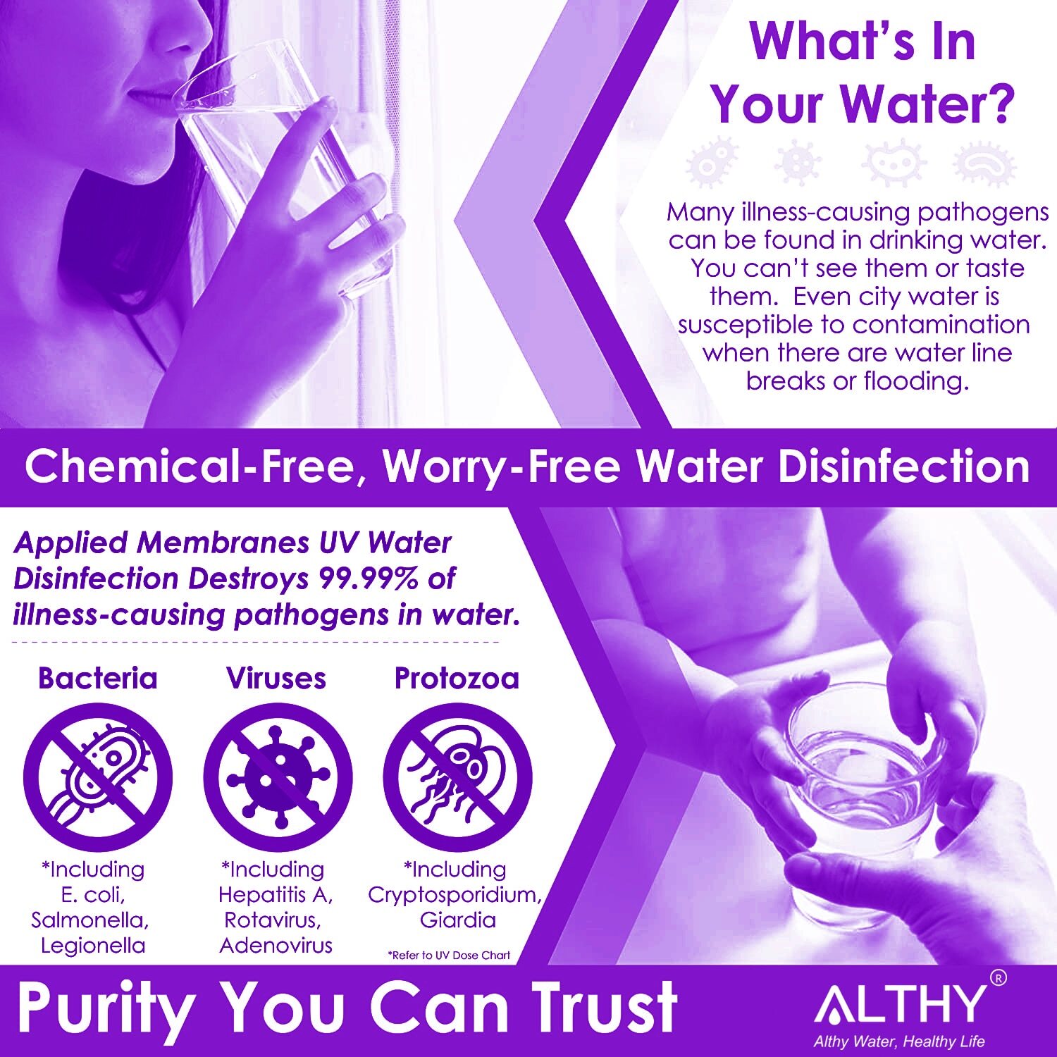 ALTHY Ultraviolet Water Sterilizer Undersink Filter System +Flow Switch ...