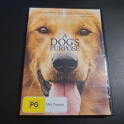 A Dogs Purpose (DVD, 2017) FAST! FREE! POSTAGE! AUS! 🍿 9321337173740 | eBay