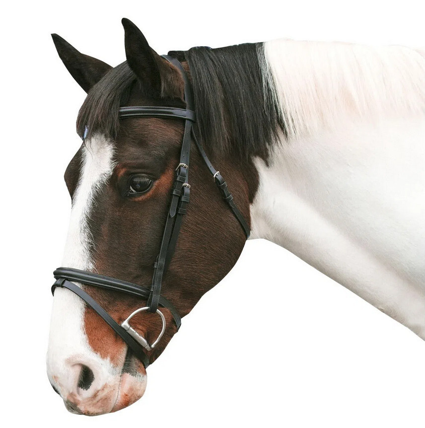 Loveson Black Leather English Bridle with Flash Noseband | eBay