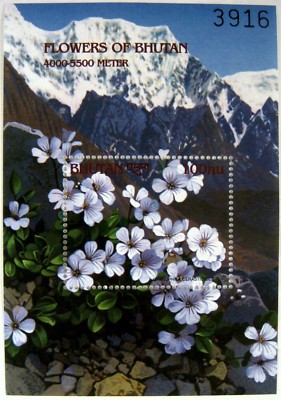 BHUTAN FLOWER STAMPS SOUVENIR SHEET 2000 MNH LANDSCAPE MOUNTAIN FLOWERS ...