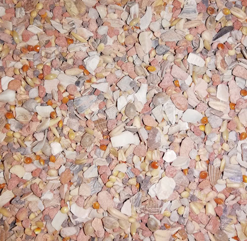 5kg Matrix Grits & Minerals for Pigeons & Chickens | eBay