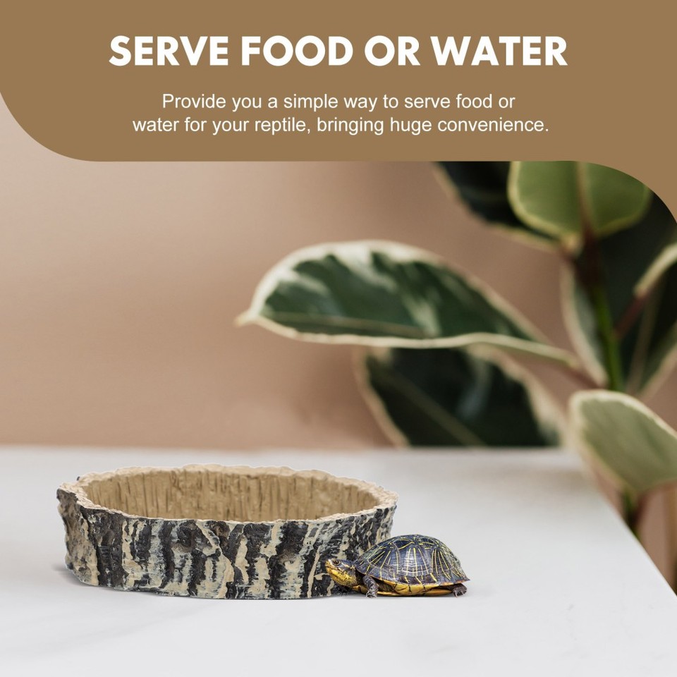 Lifelike Reptile Feeding Bowl Tortoise Food Dish for Gecko and Snake ...