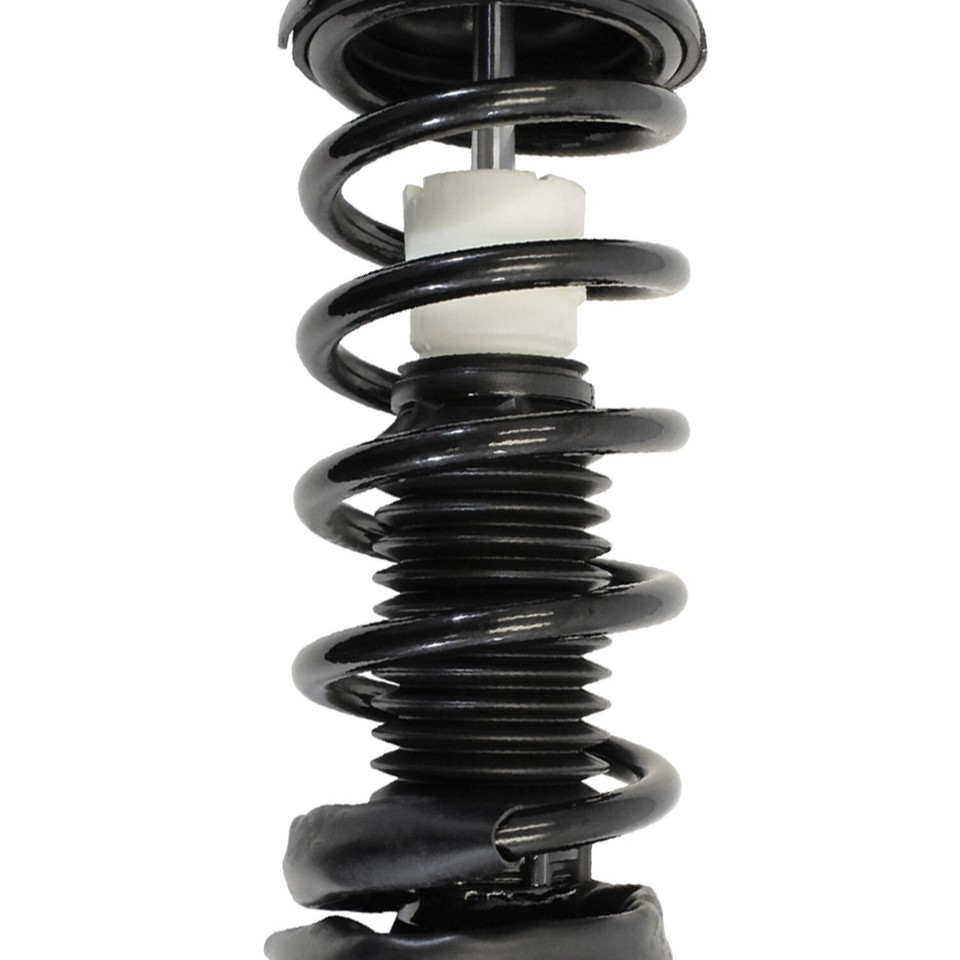 Rear Left or Right Strut w/ Coil Spring Assembly for 2015 - 2017 Subaru ...