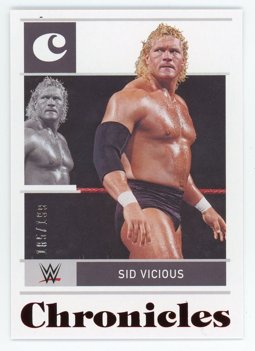 Sid Vicious Wrestler 2022