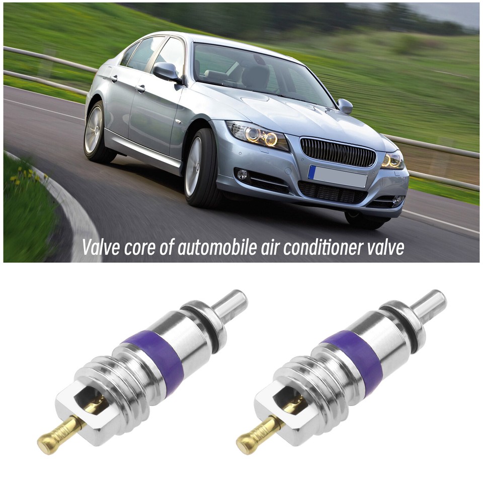 5x Car Air Valve Core R134A Car Air Conditioning For BMW and Mercedes ...