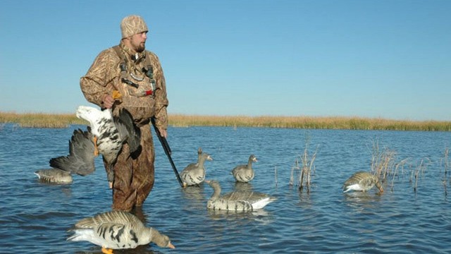 RNT QUACKHEAD Speck Tackler Specklebelly Goose Call for sale online | eBay