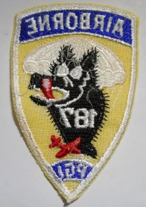 US ARMY PATCH 187th AIRBORNE INFANTRY REGIMENT PARAGLIDER INFANTRY ...