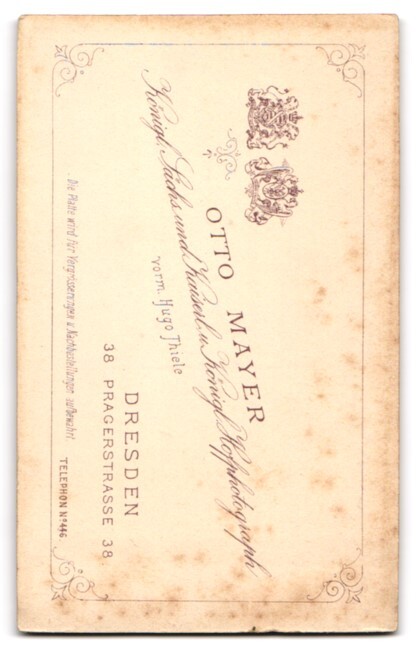Fotografie Otto Mayer, Dresden, Pragerstr. 38, Schöne junge Dame mit ...