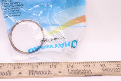 Hayward White Flush Plug 1-1/2" MPT SP1022B | eBay