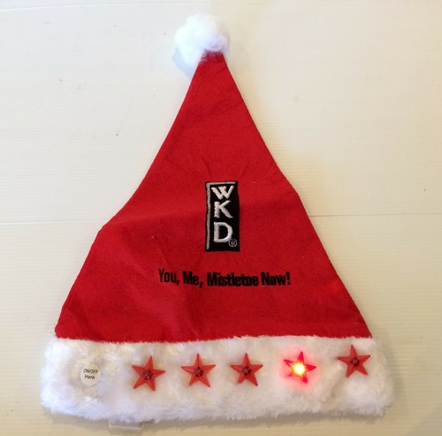 Rare Adult Santa Claus Christmas LED Party WKD Hat | eBay
