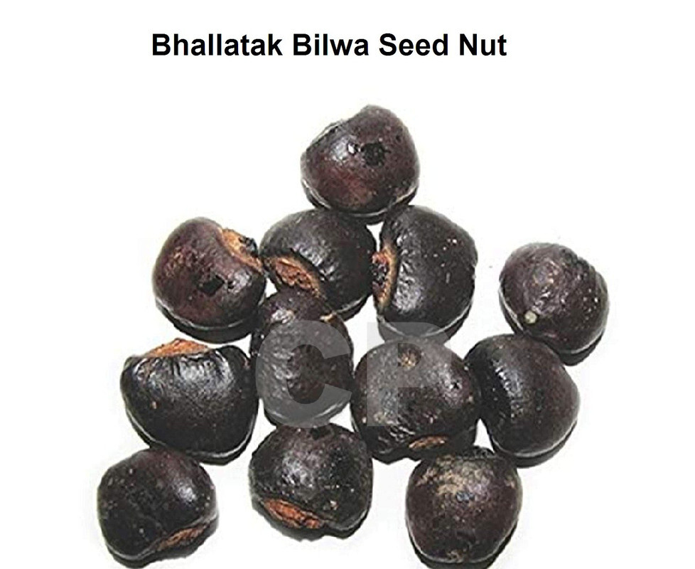 Bilwa Seed Bhilwa Semecarpus Anacardium Marking Nut Bhallatak 500gm (17 ...