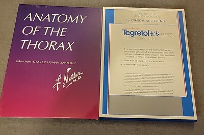 Anatomy Of The Head And Neck And Thorax From Atlas Of Human Anatomy ...