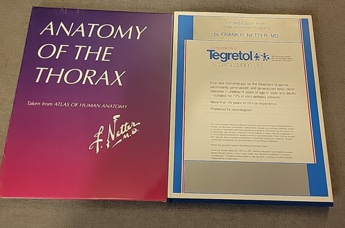 Anatomy Of The Head And Neck And Thorax From Atlas Of Human Anatomy ...