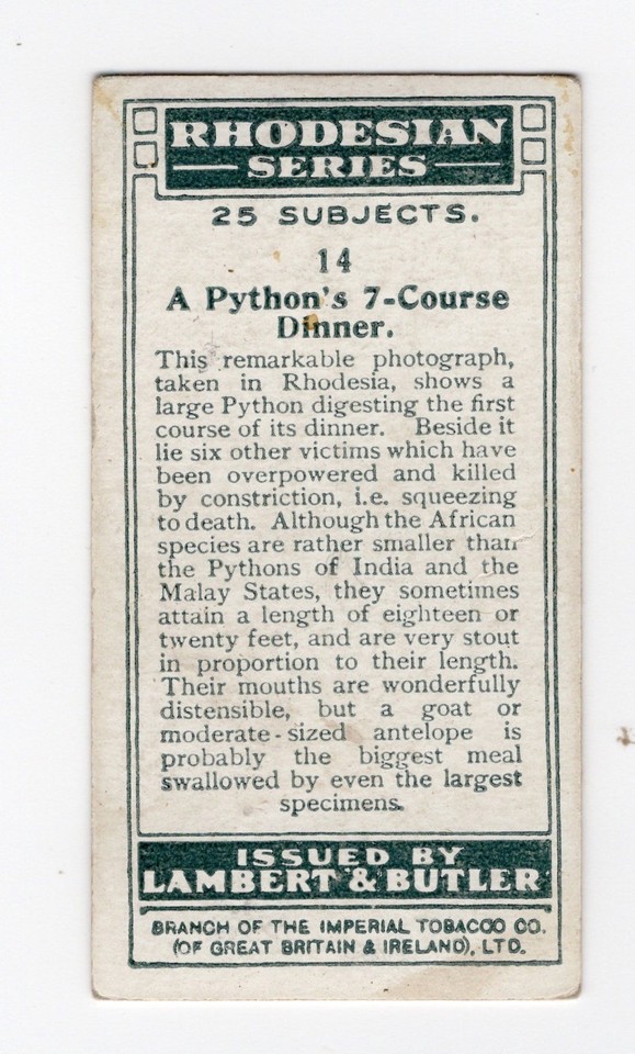 Cigarette Card of Rhodesia 1928 #14 A python with its kill | eBay
