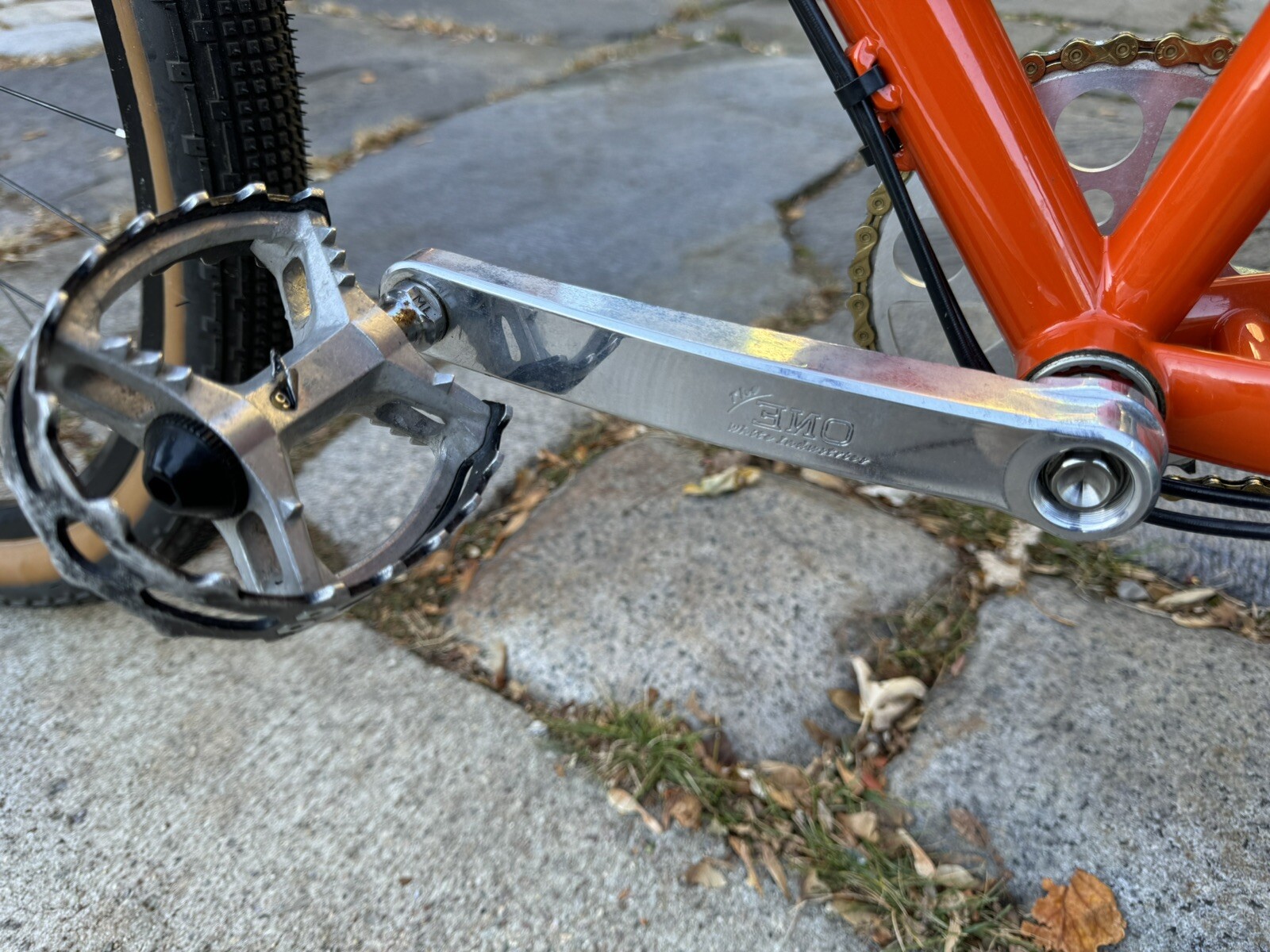 Wily 19” Steel Custom 29” MTB Cruiser Rohloff White Bros Paul Phil Wood ...