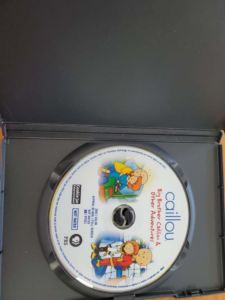 Caillou PBS Kids DVD's Set of 3 - family fun, everyday hero, big ...