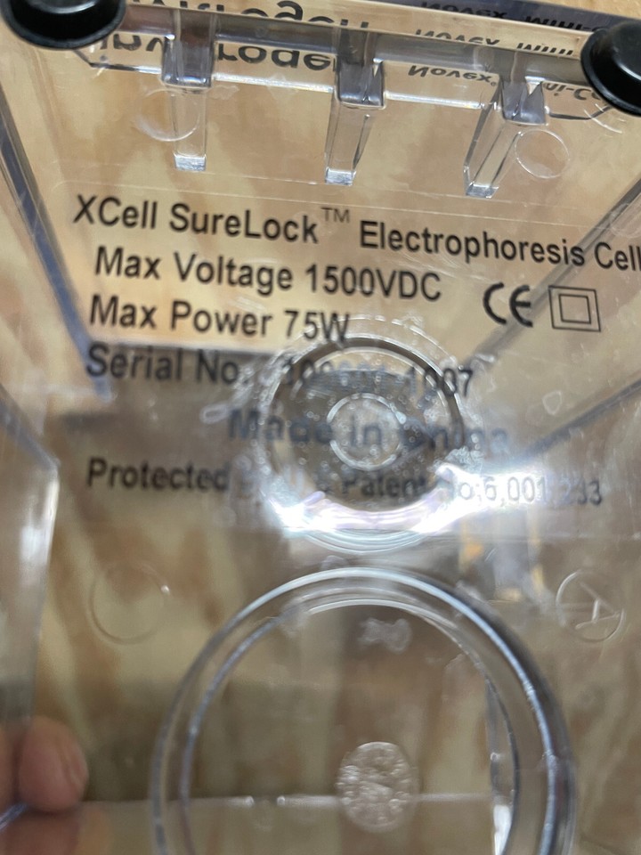 invitrogen gel surelock cell blot module Xcell II blotting tray | eBay