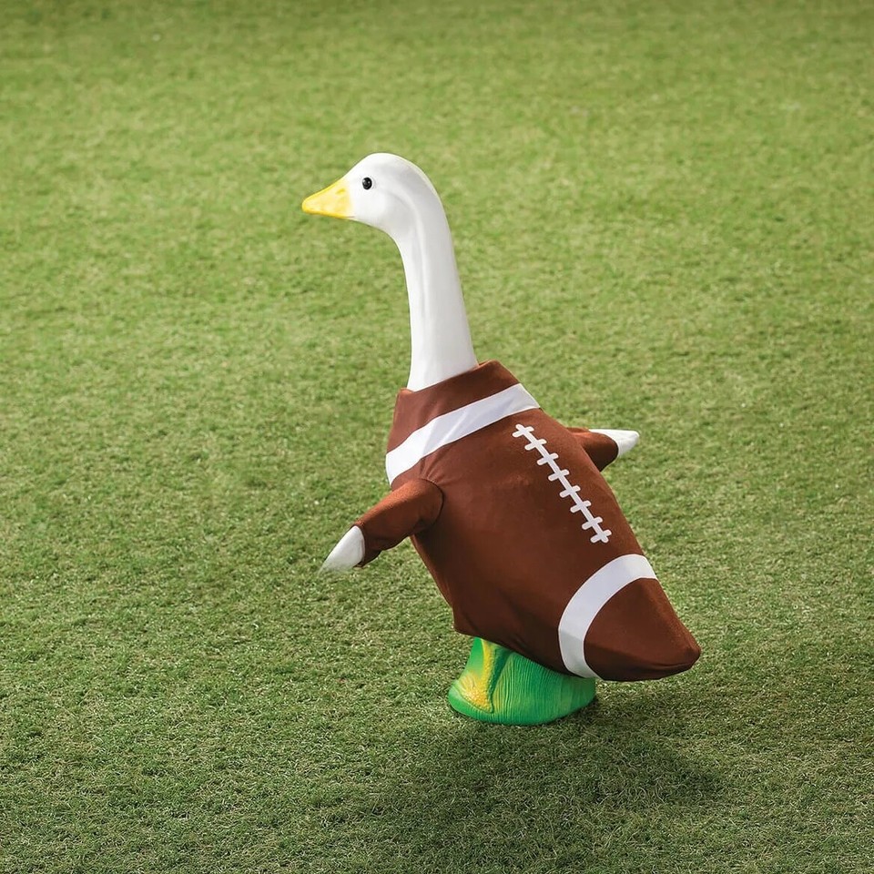 Football Super Bowl MVP Outfit Costume for 23" Goose Tailgate Lawn ...