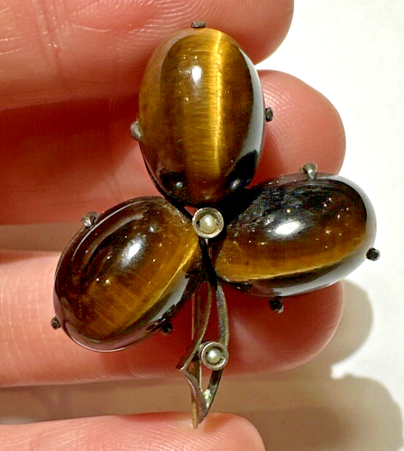 Victorien Lucky Trèfle Graine Perle Sculpté de Tigre Eye Broche CD 36.5 ...